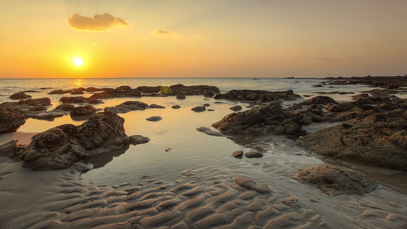 Low Tide – Recovering The Self